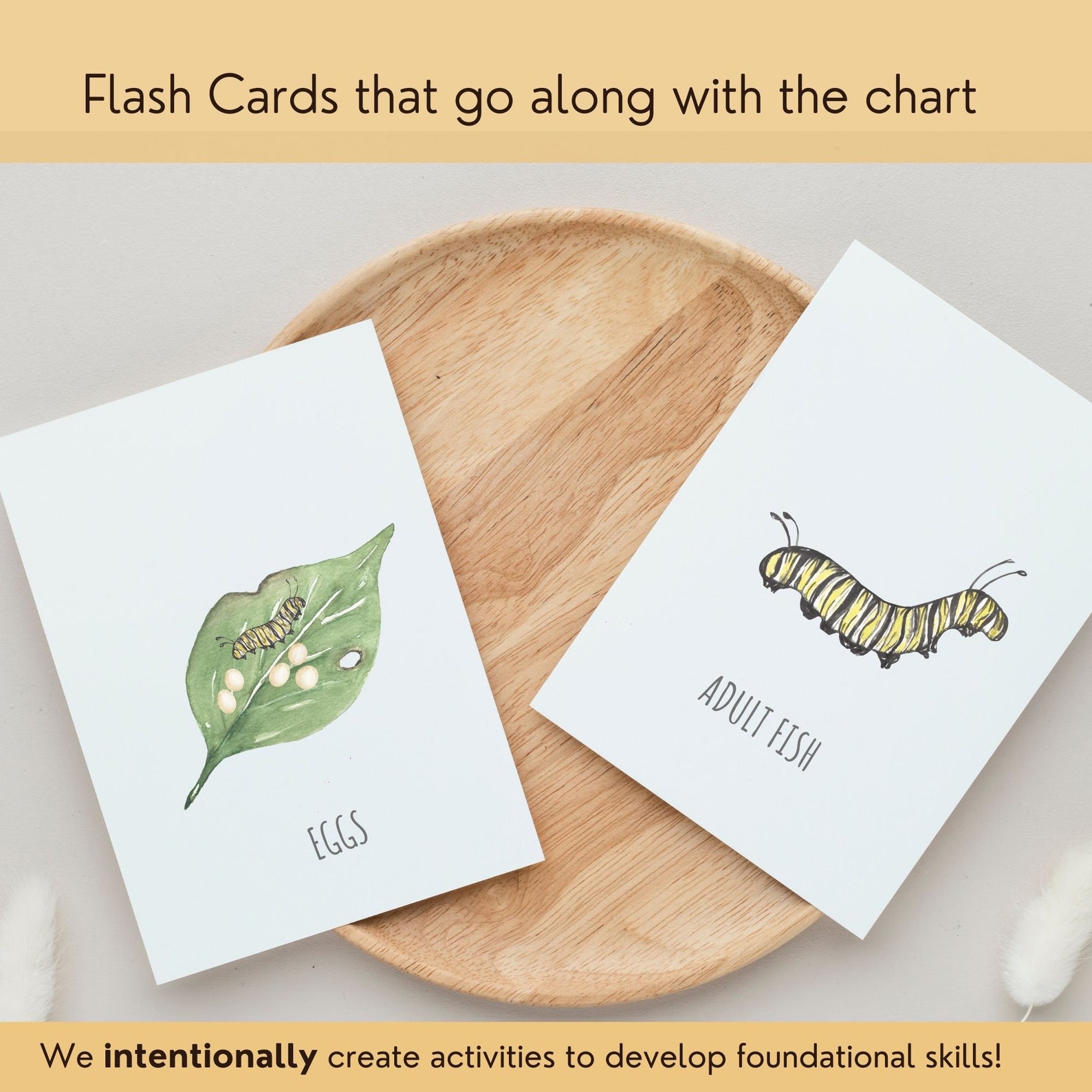 Butterfly Life Cycle Poster With Flashcards Nature Homeschool Decor ...