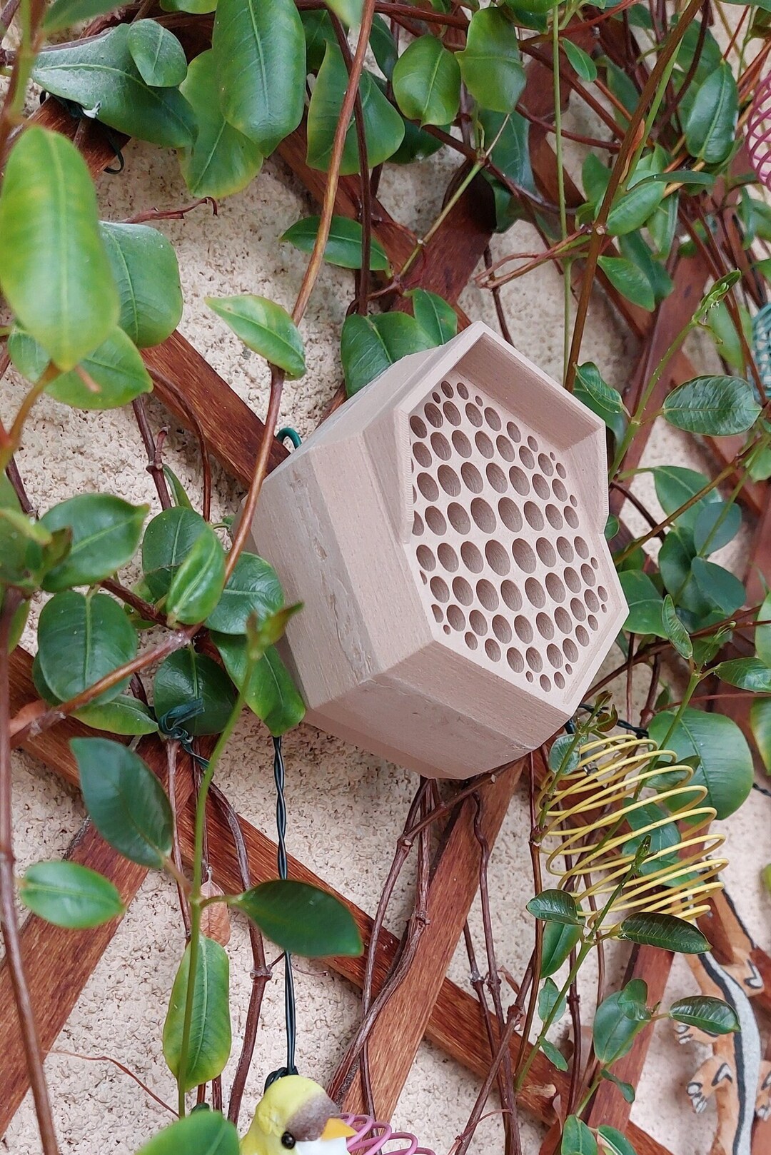 Beehive Incubator Brooder for Wild Bees and Bumblebees - Etsy