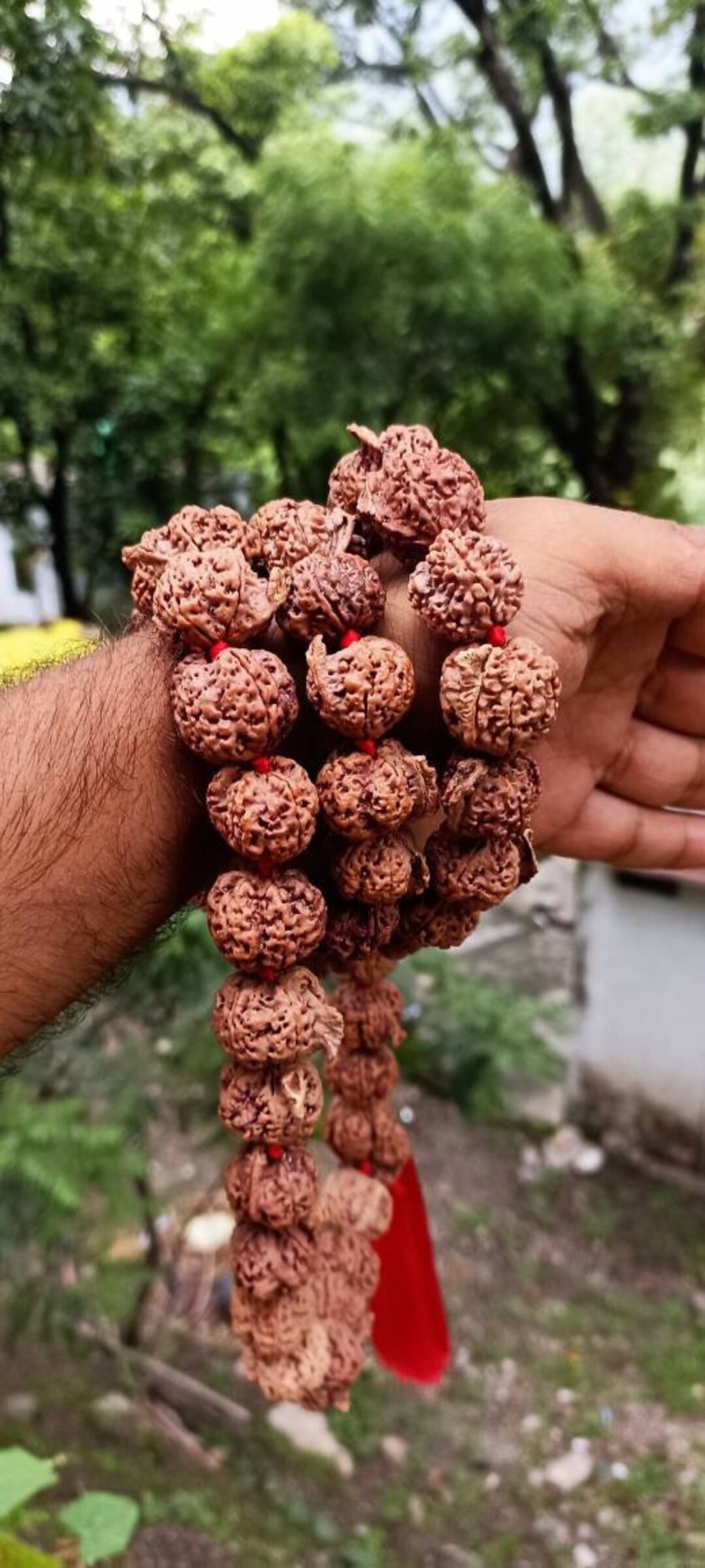 Ganesh Rudraksha Mala / Ganesha Rudraksh Kantha Nepal Lab - Etsy