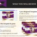 Purple Graduation Chip Bag Template, Grad Party Decorations, Class of ...