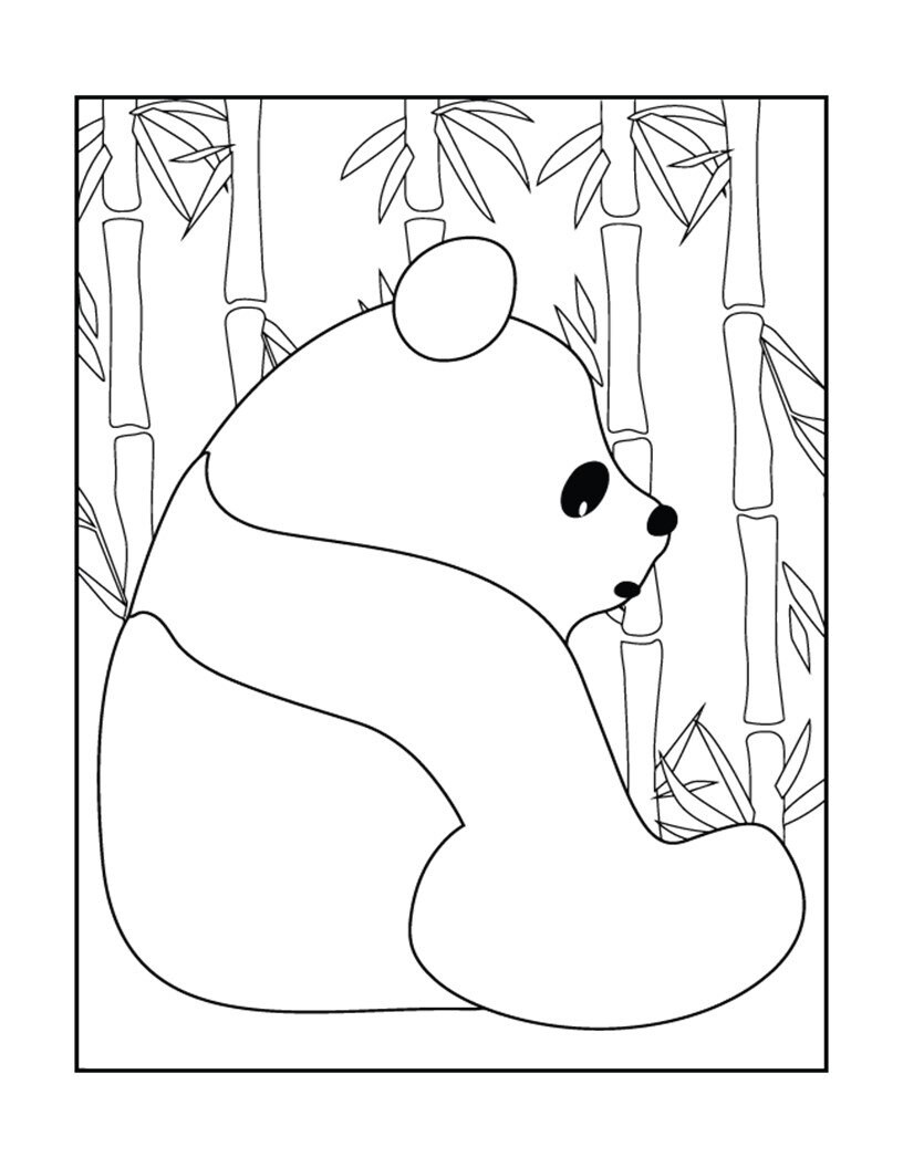100 Animal Coloring Pages - Set of 100 Pages - Etsy