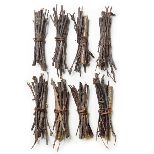 Twig Bundle - Etsy