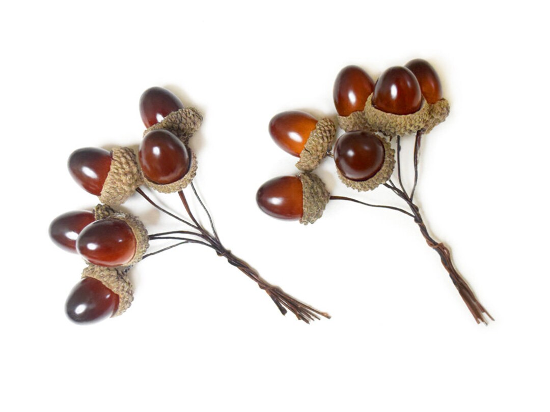 1 Natural Acorn Pick 12pc, Wreath Making Supply, Floral Arrangements ...
