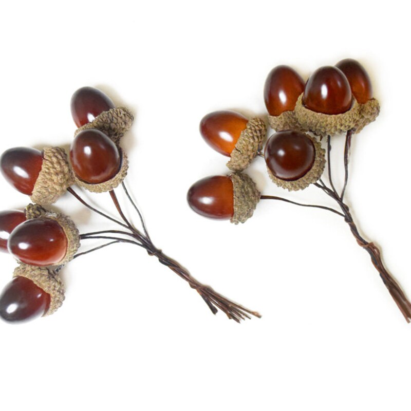 Miniature Acorns - Etsy