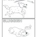 Opposite Words Coloring Pages (10) - Etsy