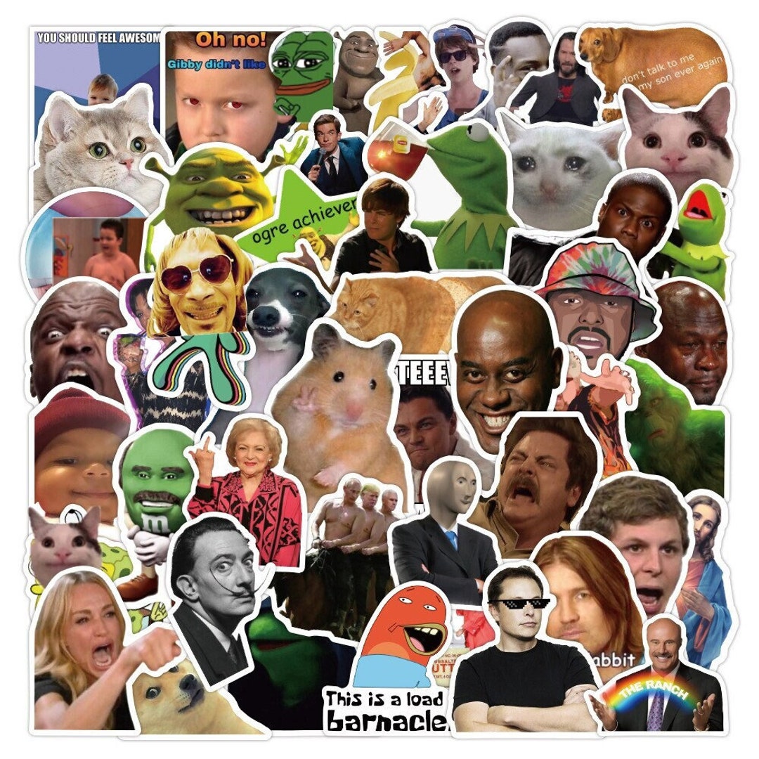 10,30,50,100 Pcs Funny Meme Sticker Pack, Waterproof Meme Decals Skate ...