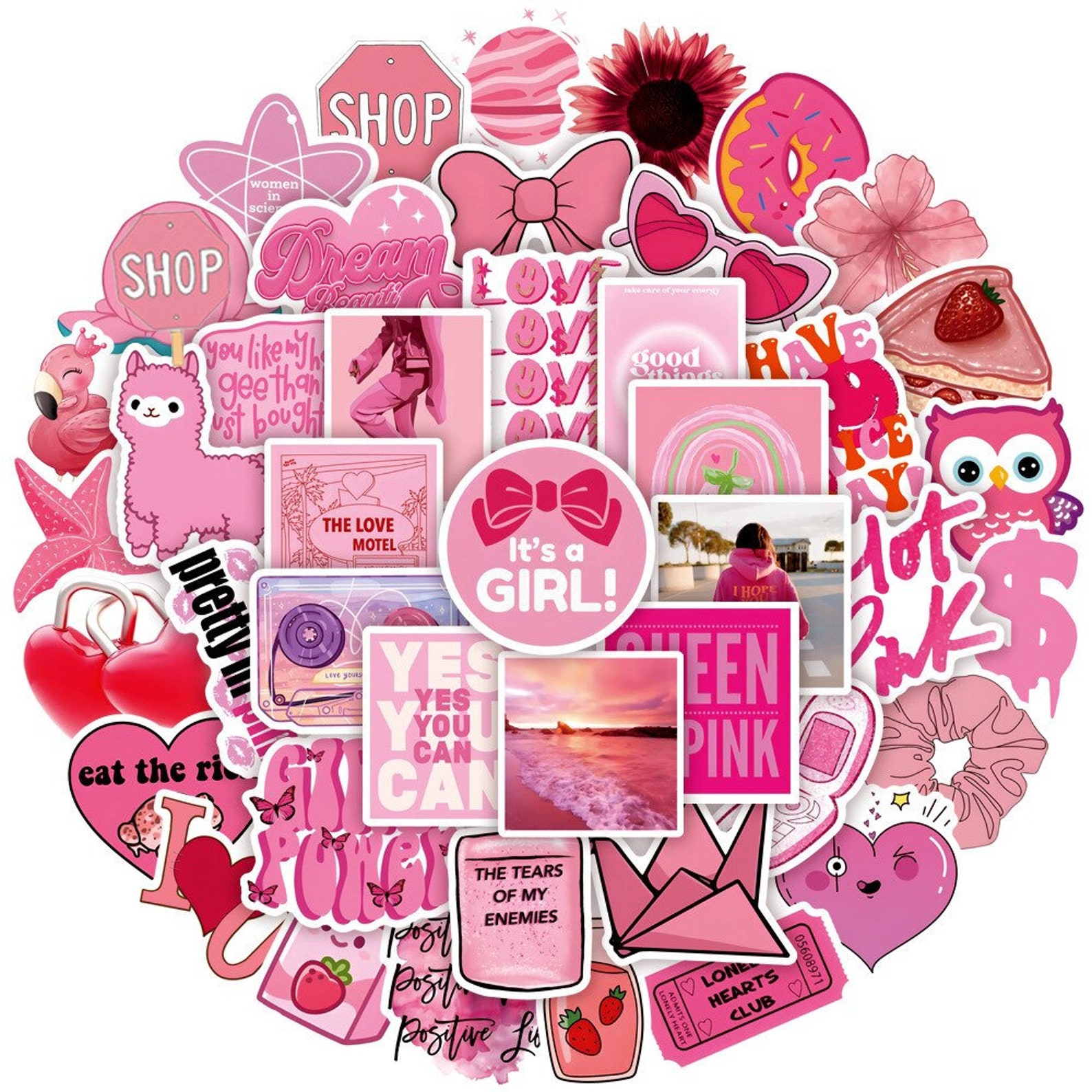 103050 Pcs Pink Girly Sticker Pack Cute Vinyl Stickers for - Etsy