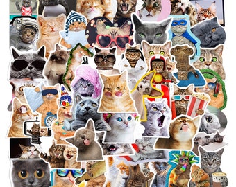 50 Cute Pink Vsco Stickers Pack Cartoon INS Aesthetic Sticker - Etsy