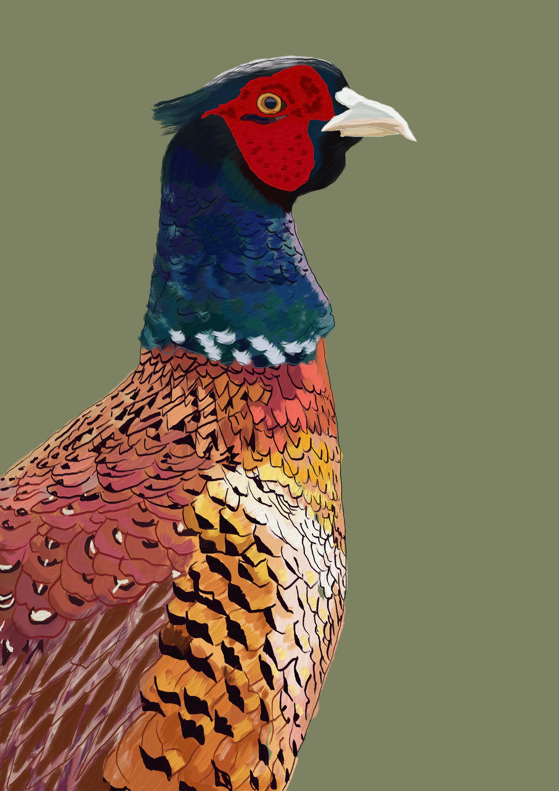 Pheasant Print Large A4 or A3 Poster Sage Green Wall Art - Etsy