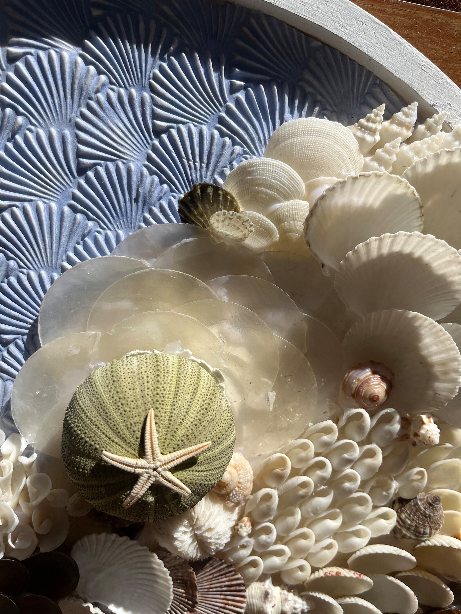 Seashell Mosaic Wall Art - Etsy