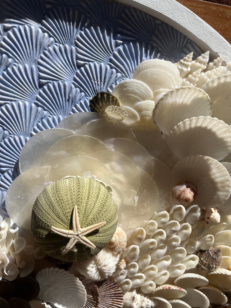 Seashell Mosaic Wall Art - Etsy