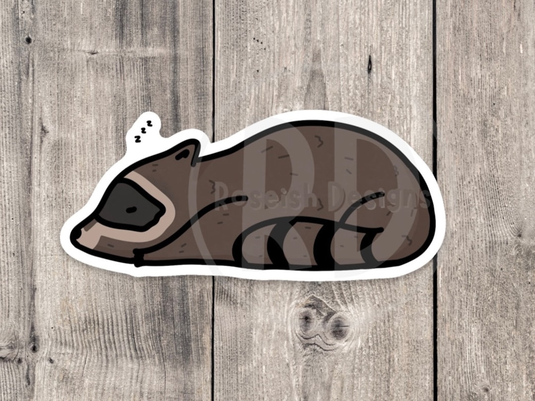 Cute Raccoon Sticker, Sleepy Raccoon, Water Bottle Sticker, Laptop ...