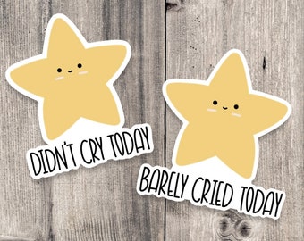 This is Probably Not Water Sticker Sarcasm Sticker Funny - Etsy