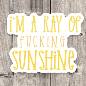 Im a Ray of Fucking Sunshine Sticker, Sarcasm Sticker, Funny Quote ...