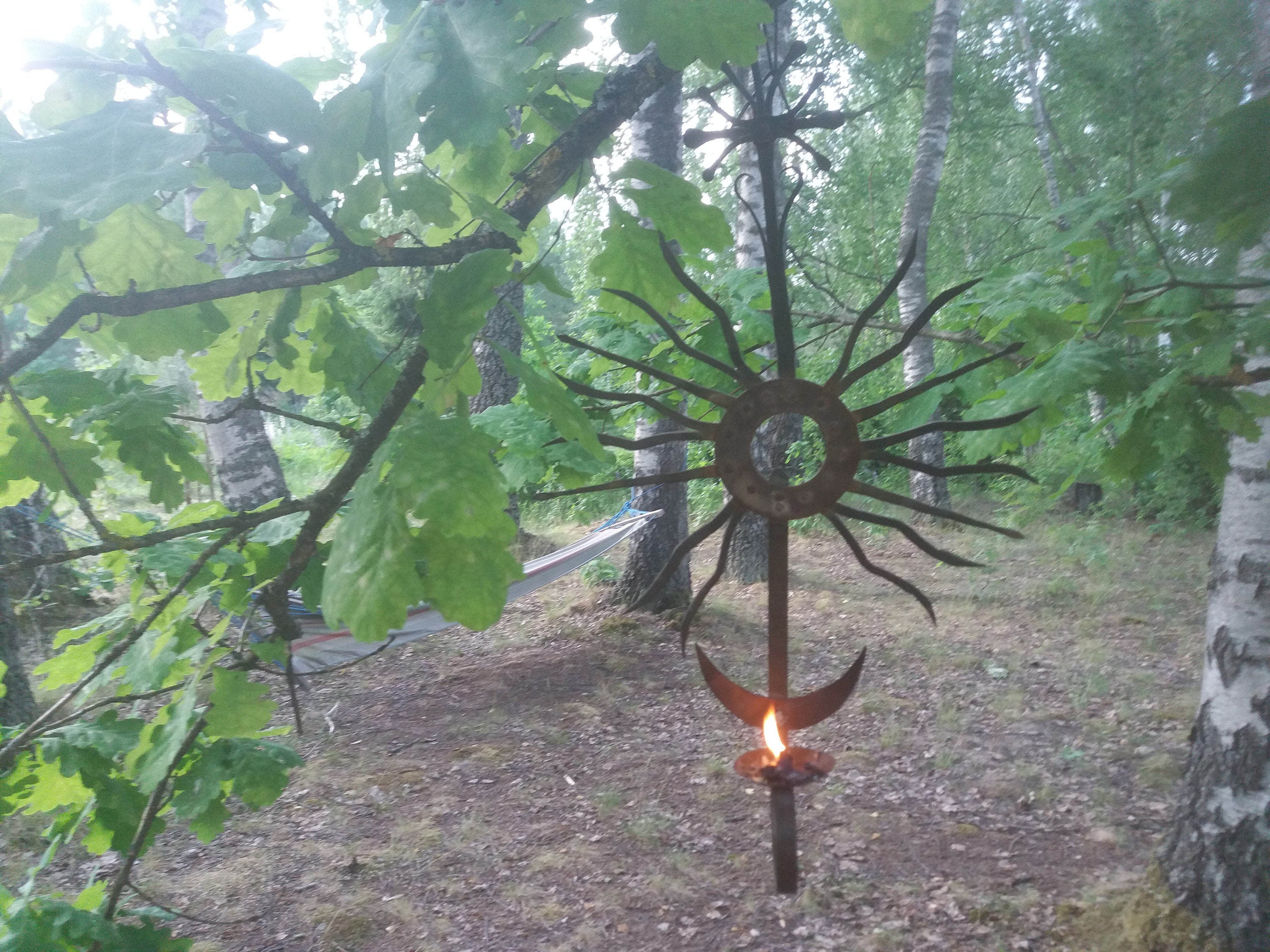 Natural Old Spruce Resin Approx 3 Oz Fir Tree Dried Resin | Etsy