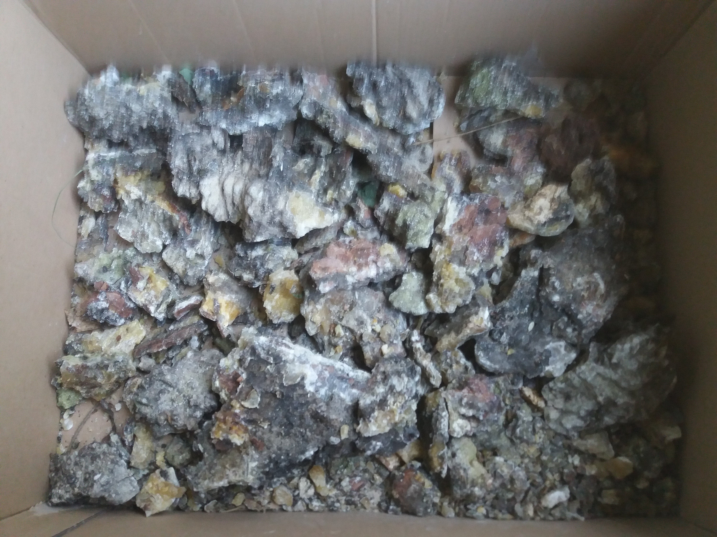 Natural Old Spruce Resin Approx 3 Oz Fir Tree Dried Resin | Etsy