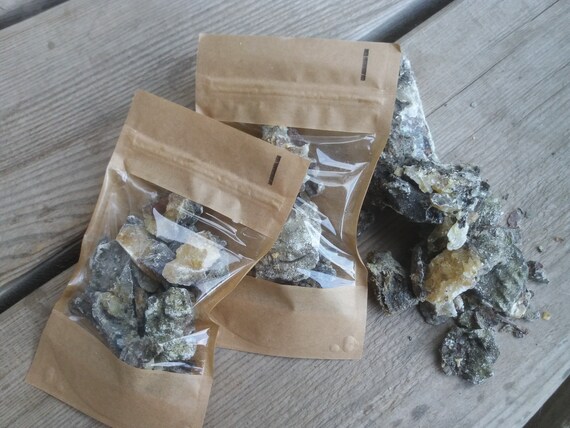 Natural Old Spruce Resin Approx 3 Oz Fir Tree Dried Resin | Etsy