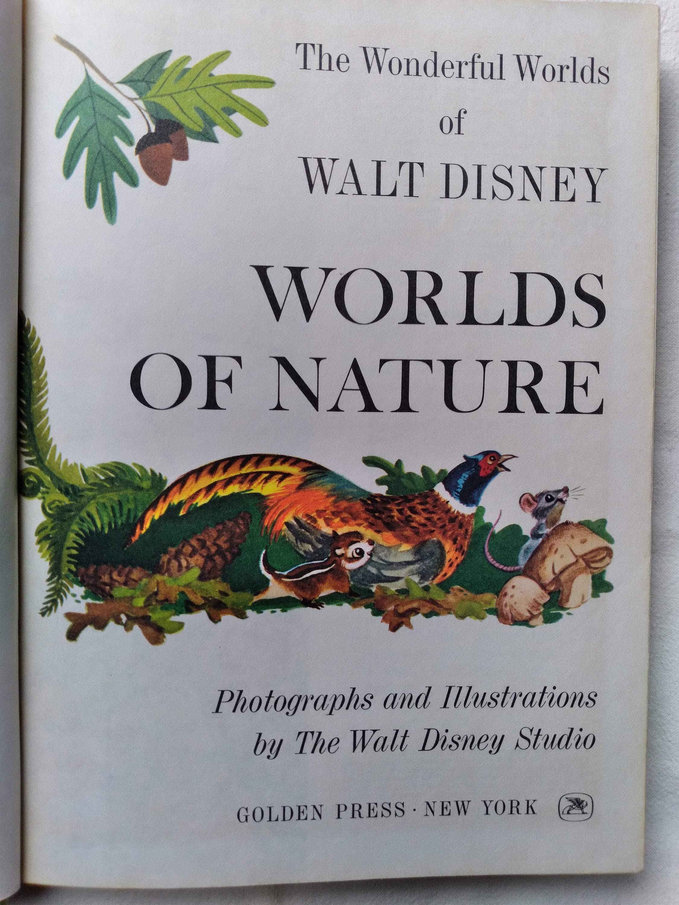 Vintage Walt Disney's Worlds of Nature, Walt Disney's Hardcover 1965 ...