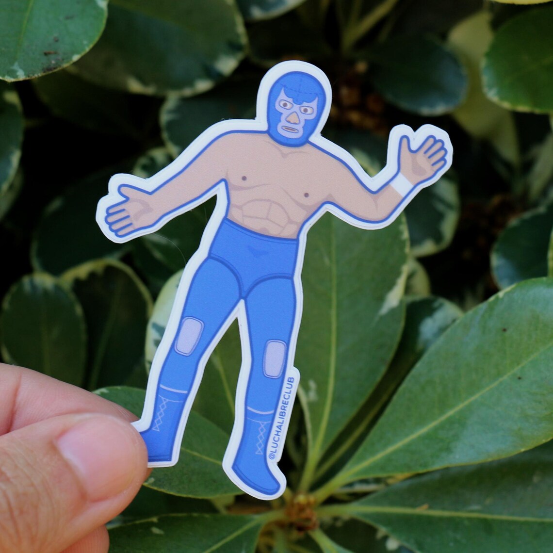 Lucha Libre Luchador - Vinyl Stickers - Water Bottle Sticker - Laptop ...