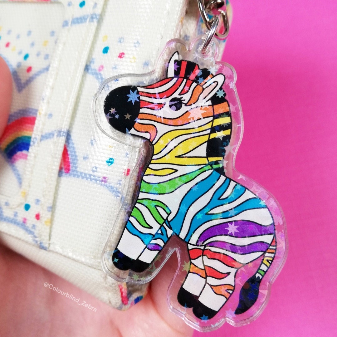 Rainbow Zebra Holographic Keyring Ehlers Danlos Syndrome Gift EDS ...