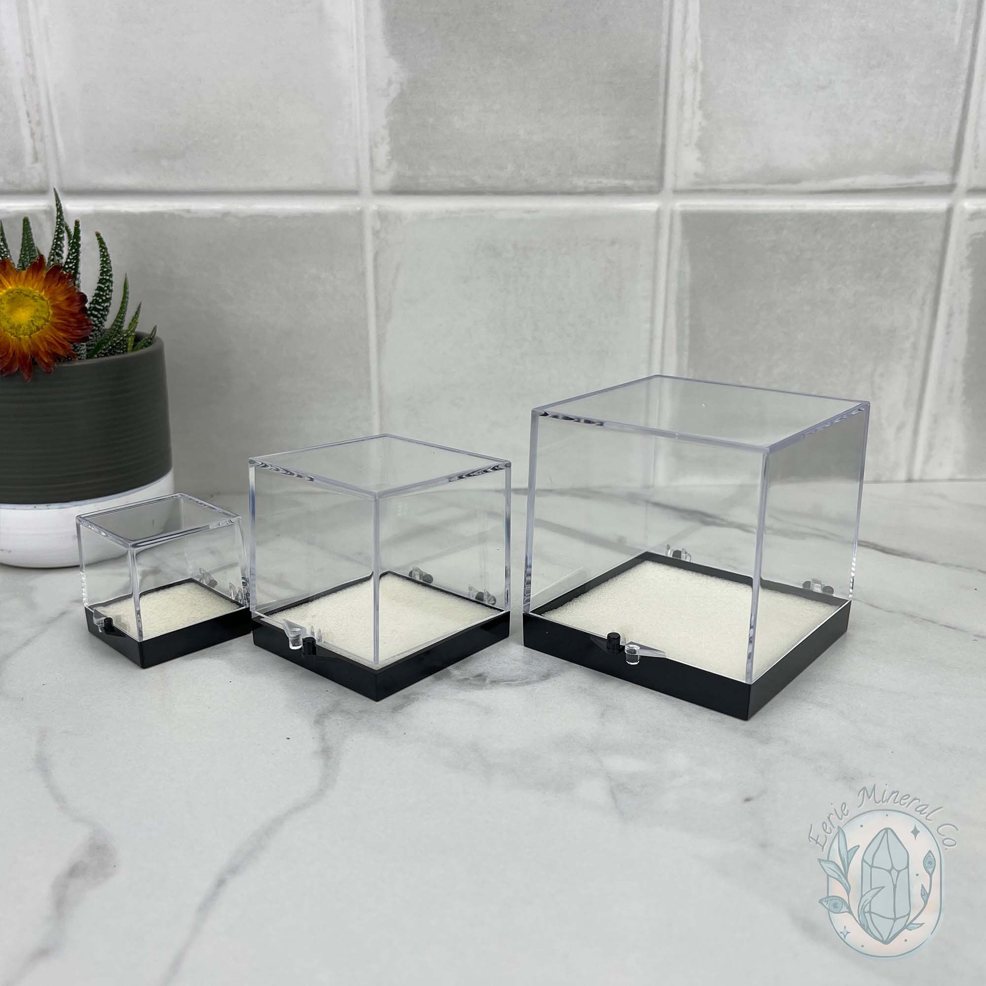 Plastic Display Boxes