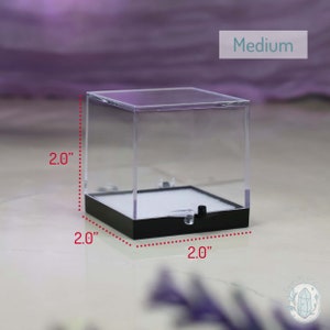 Perky Box, Crystal Specimen Boxes, Display Case With Free Mounting ...