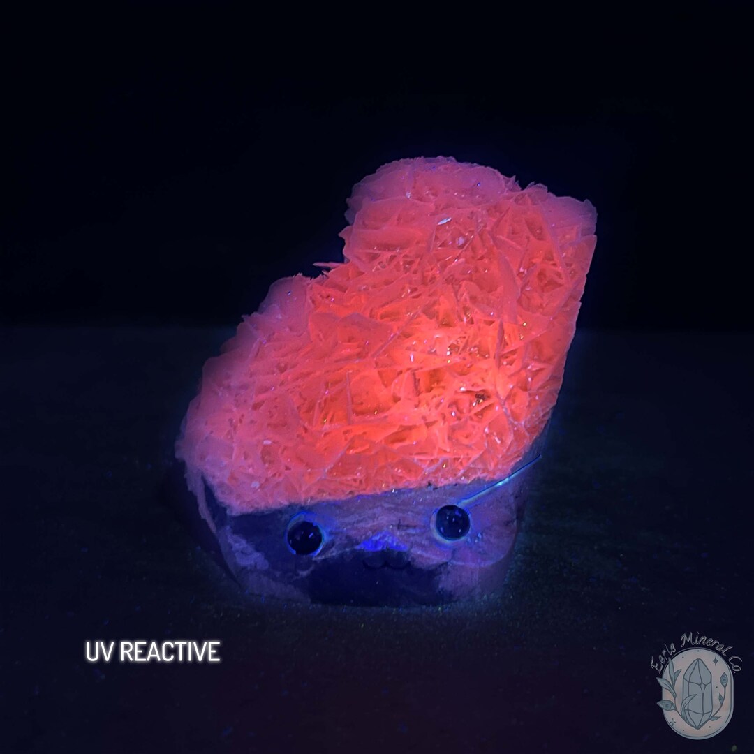 UV Reactive Bladed or Paper Calcite Pet Rock Carving - Etsy
