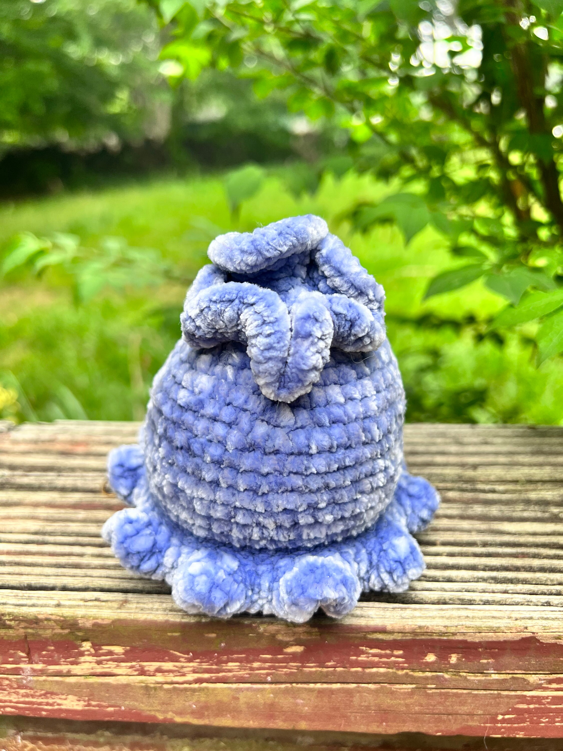 Avocado the Periwinkle Sea Slug - Etsy