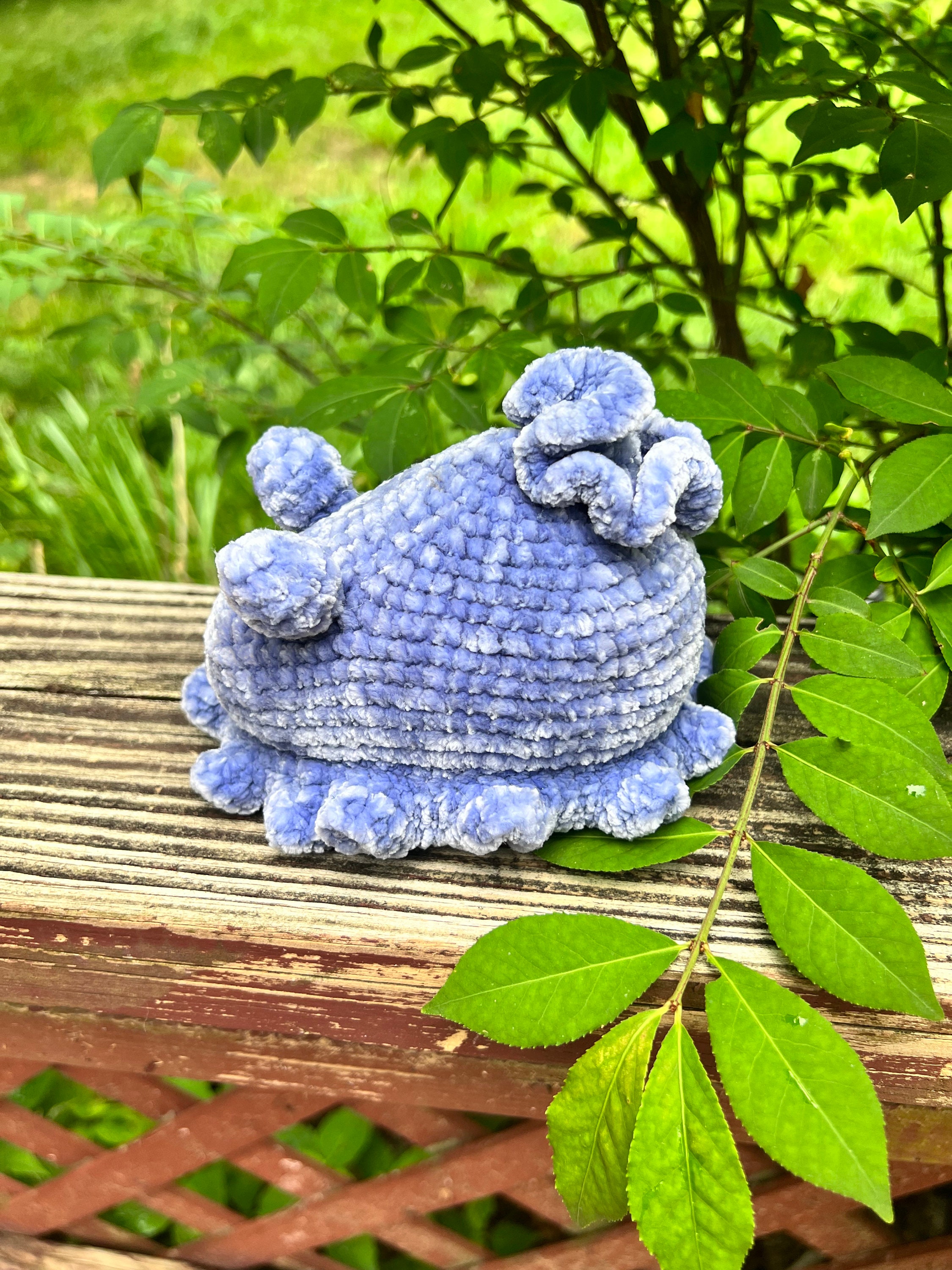 Avocado the Periwinkle Sea Slug - Etsy