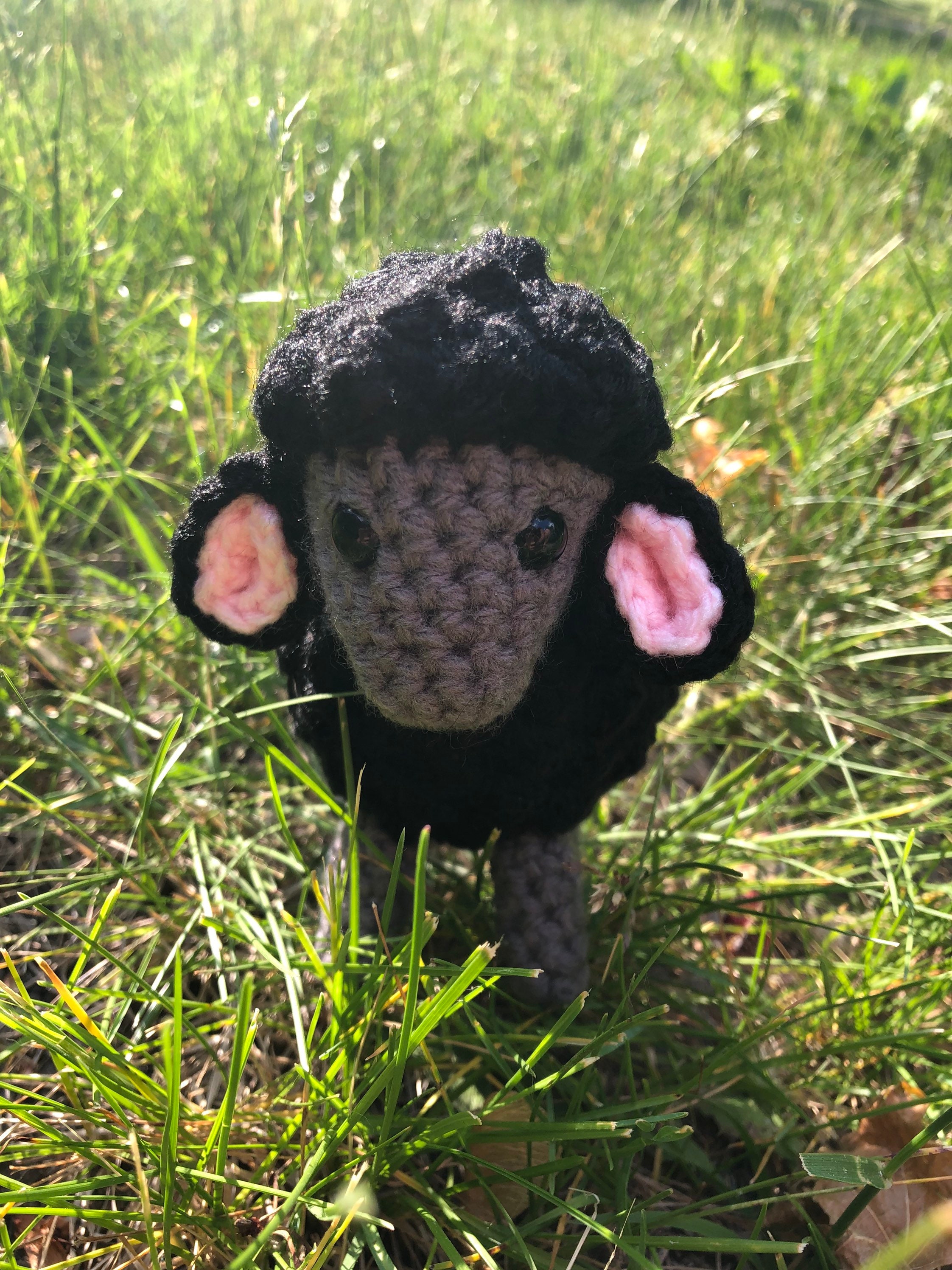 Cute Crochet Sheep - Etsy