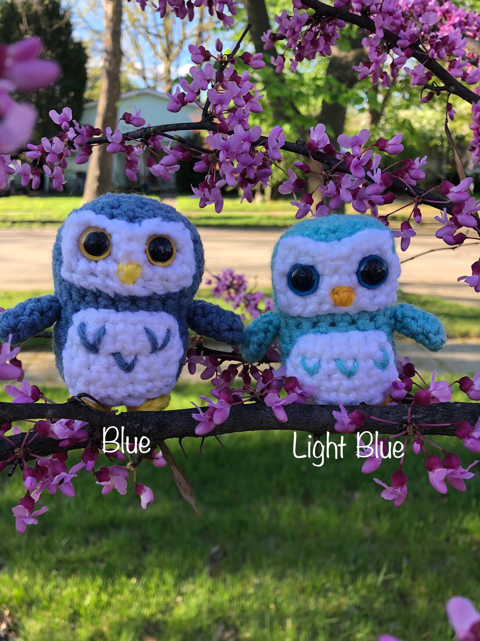 Cute Mini Crochet Owl - Etsy