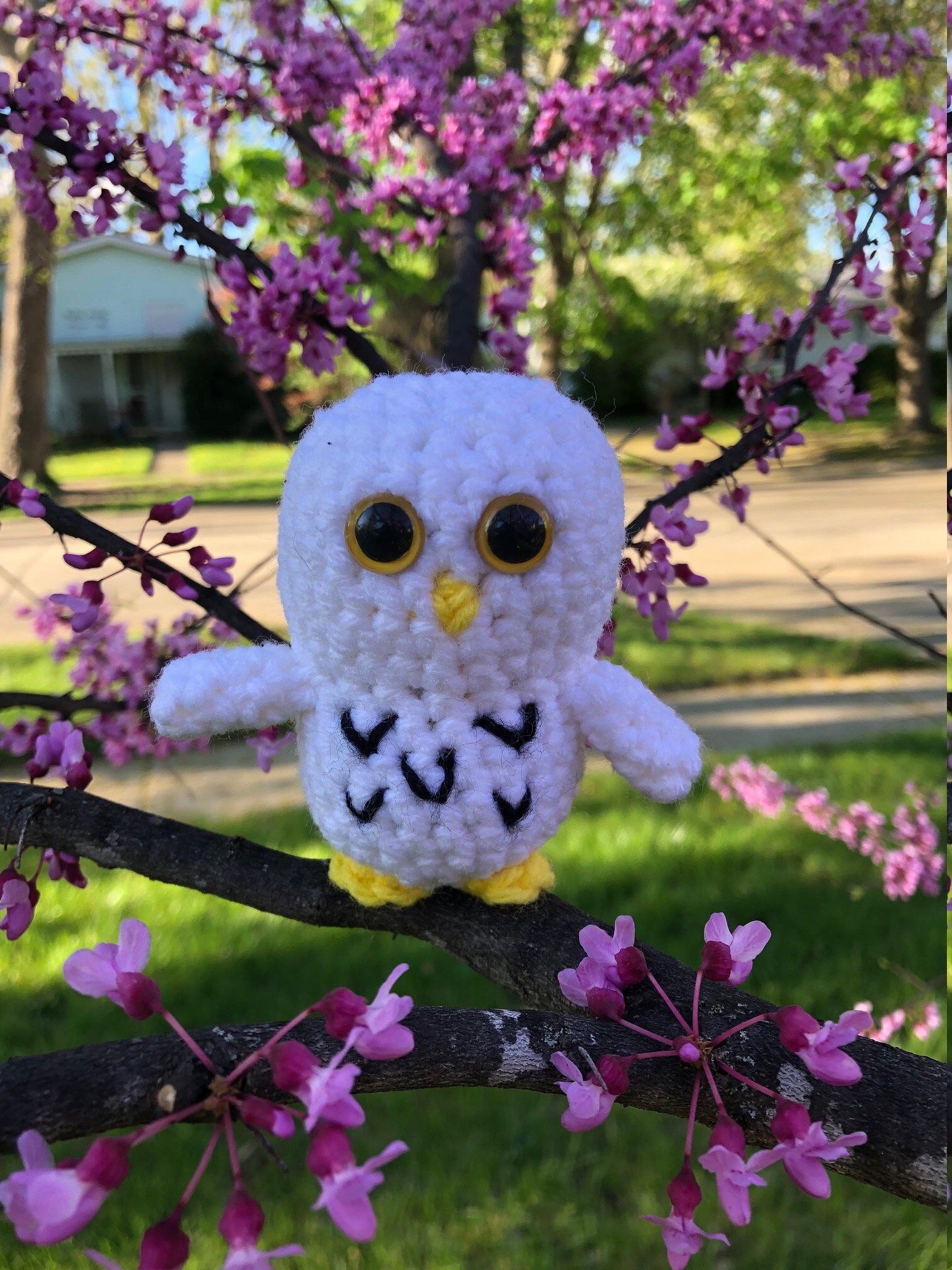 Cute Mini Crochet Owl - Etsy