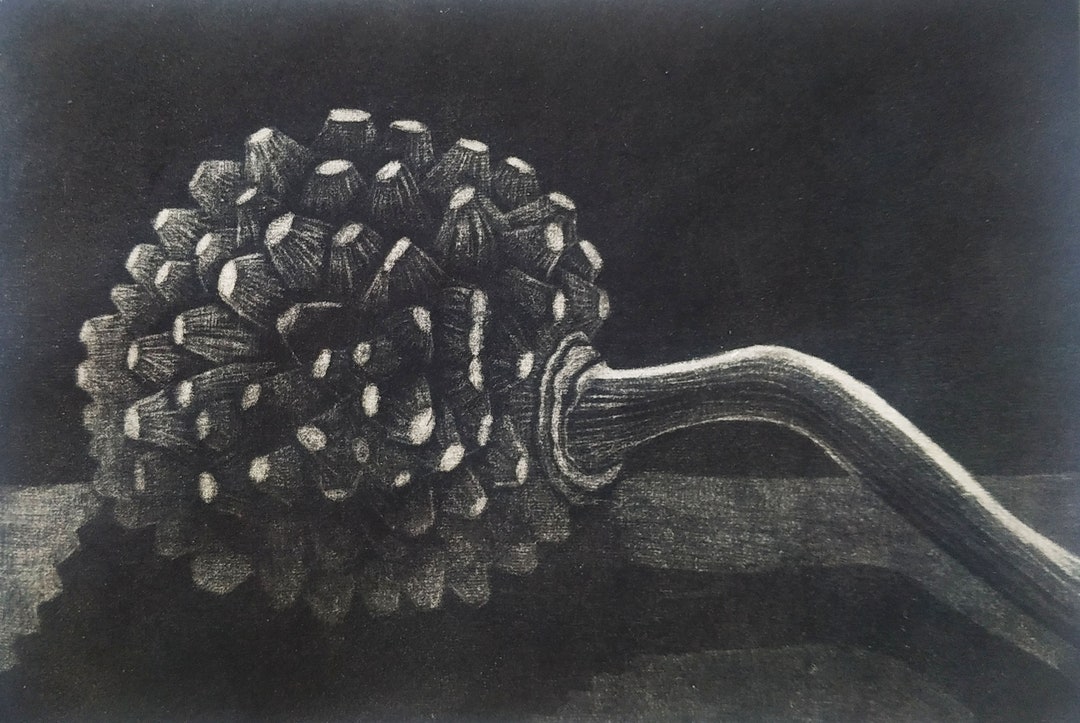 Limited Edition Etching, Mysterious Fruit - Etsy