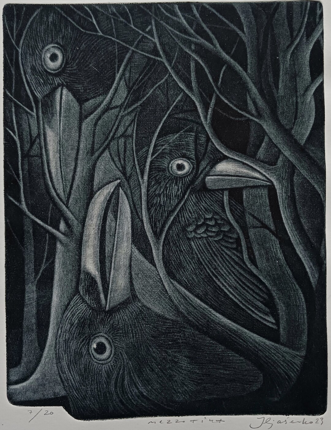 Limited Edition Etching Tree Hand Coloured Limited Edition - Etsy