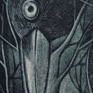 Limited Edition Etching Tree Hand Coloured Limited Edition - Etsy