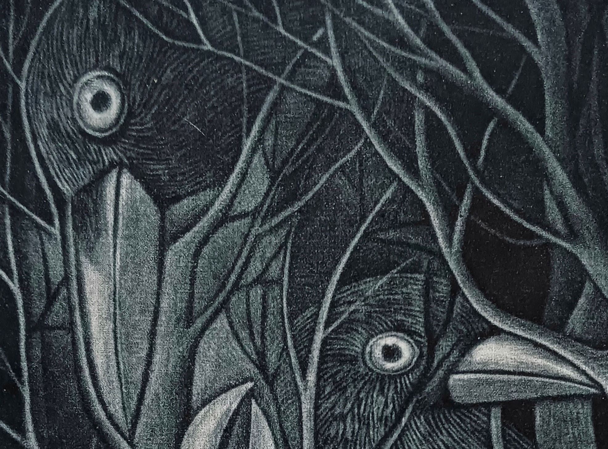 Limited Edition Etching Tree Hand Coloured Limited Edition - Etsy