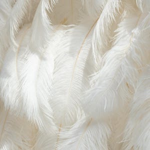 White Feather Wedding Backdrop, Floral Party Decor, Photo Booth - Etsy