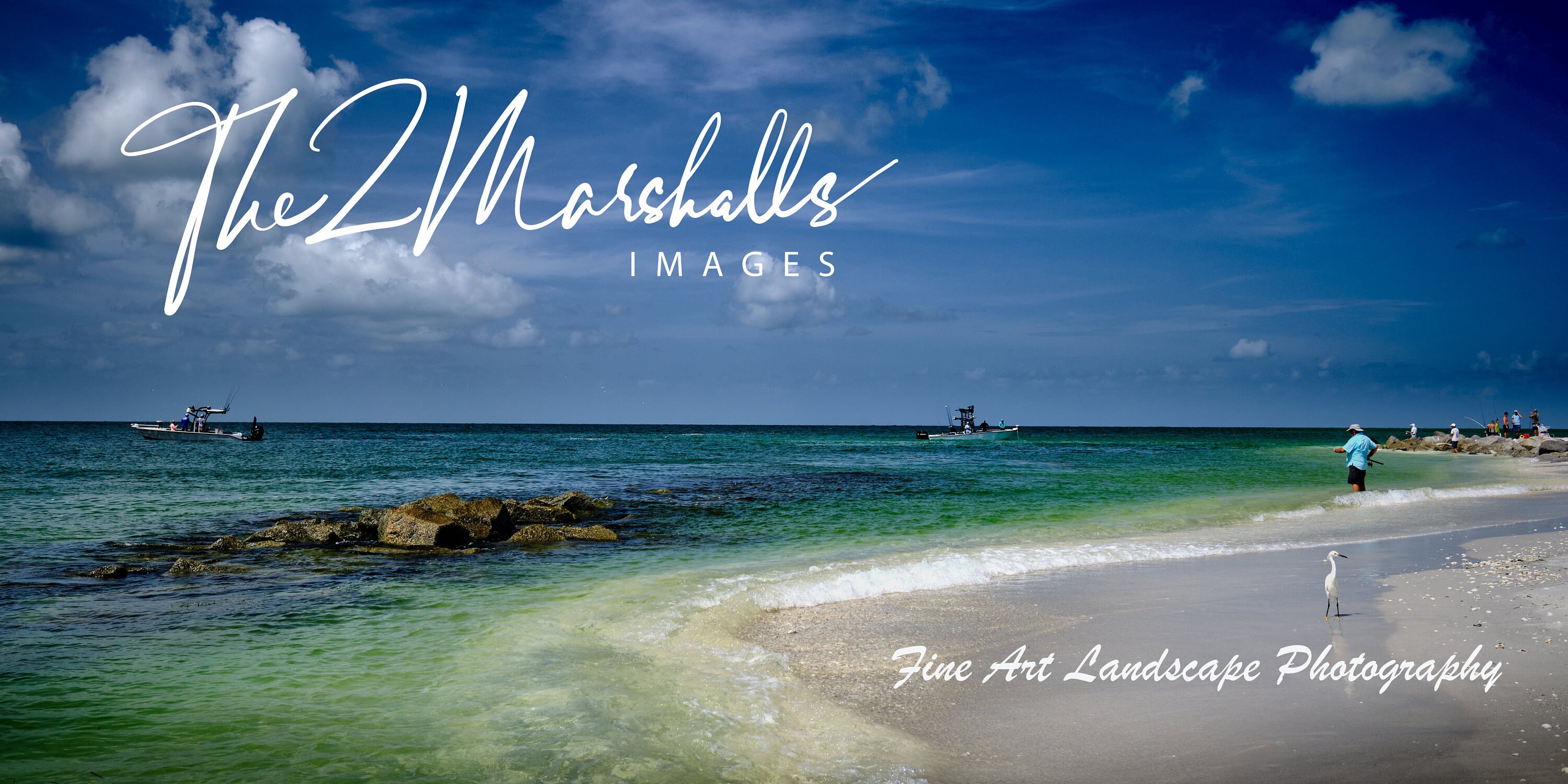 Southwest Florida Trees Fine Art Landscape Photography Wall - Etsy