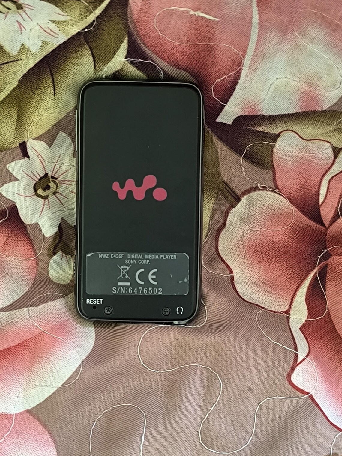 Sony Walkman NWZ-E436F 4 GB Digital Media Player FM Radio - Etsy