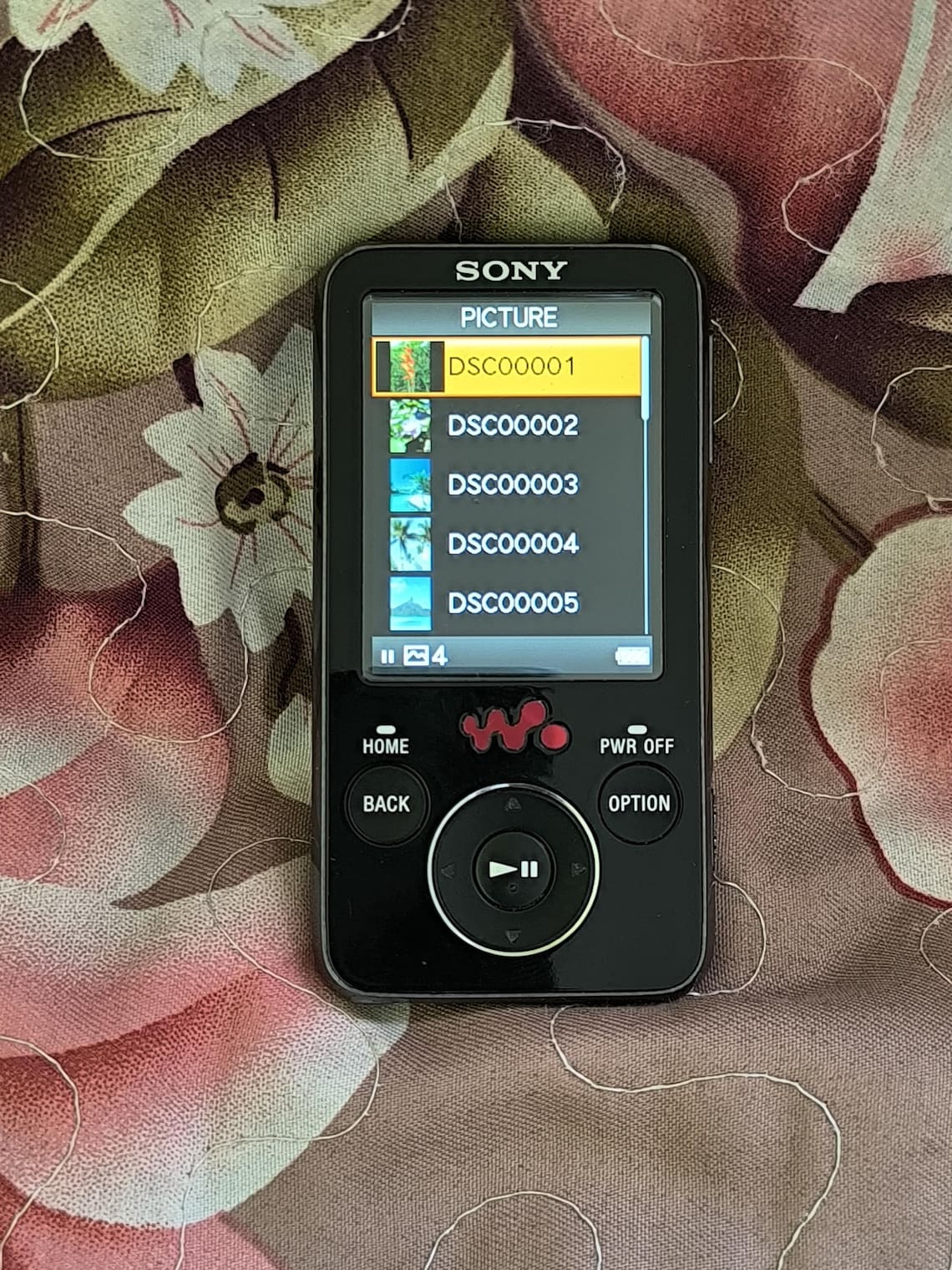 Sony Walkman NWZ-E436F 4 GB Digital Media Player FM Radio - Etsy