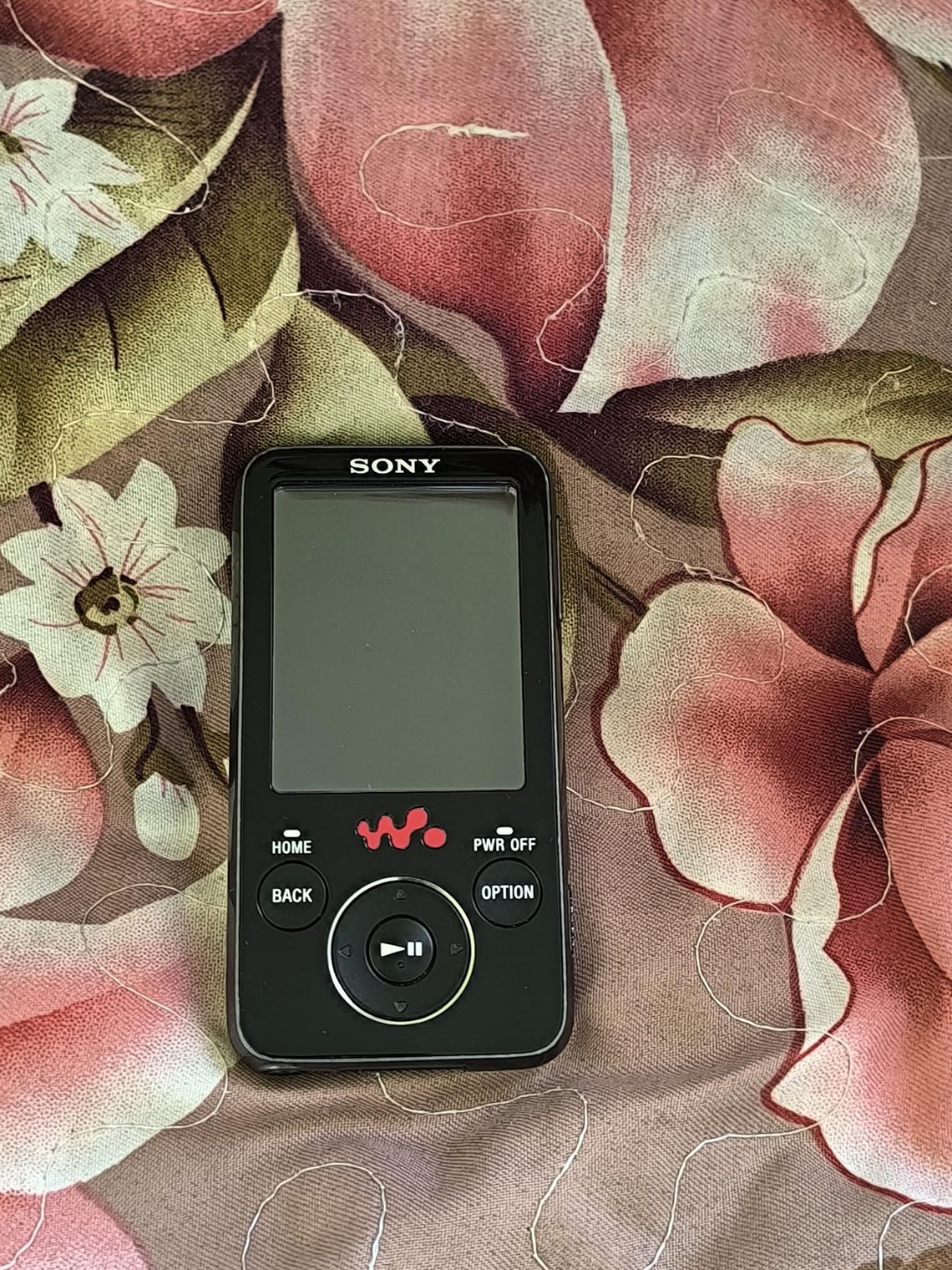 Sony Walkman NWZ-E436F 4 GB Digital Media Player FM Radio - Etsy
