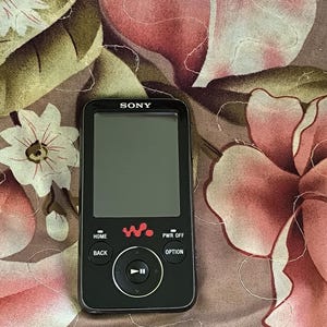 Sony Walkman NWZ-E436F 4 GB Digital Media Player FM Radio - Etsy
