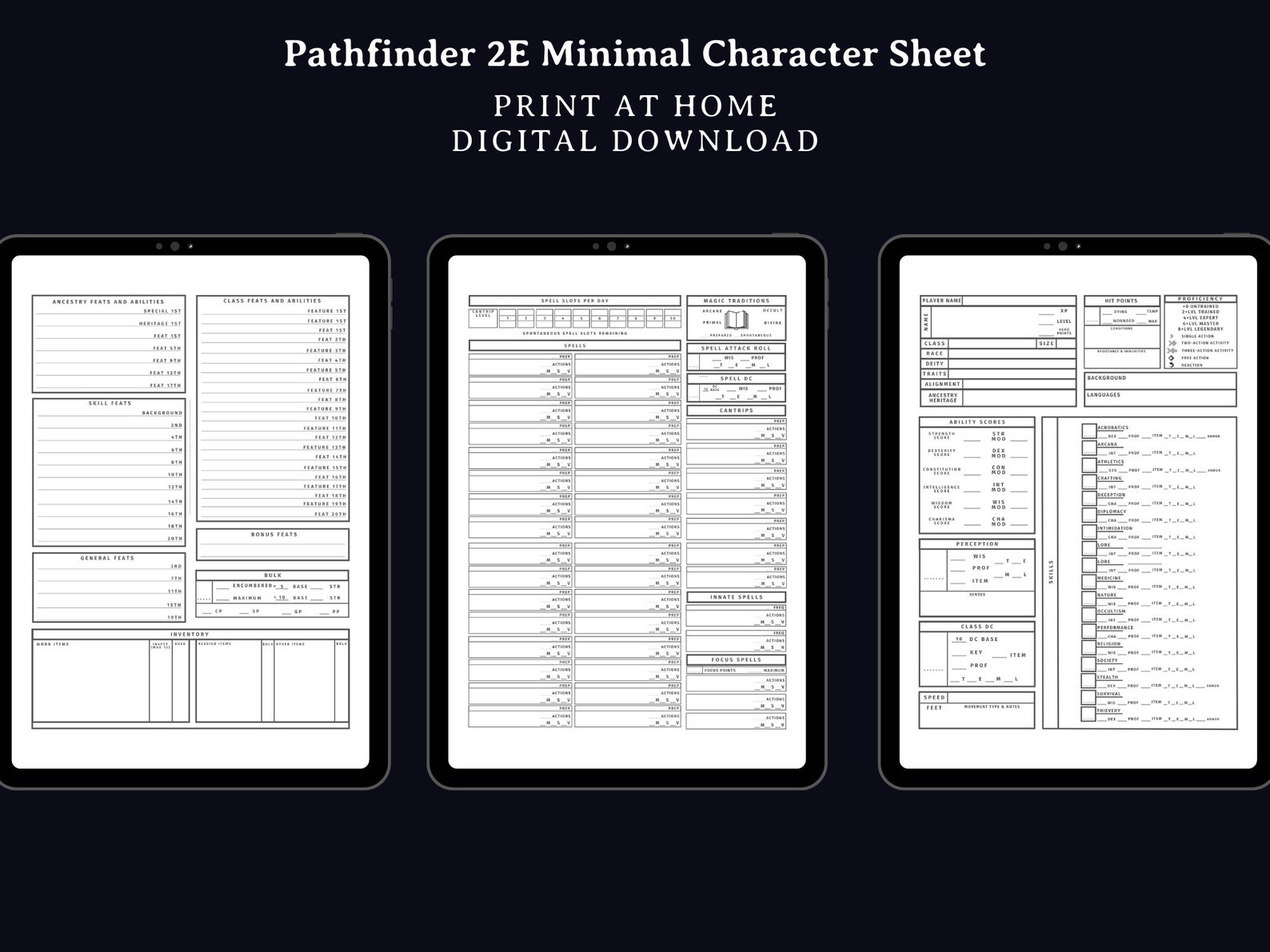 Pathfinder 2e Minimal Character Sheet Ttrpg Character - Etsy