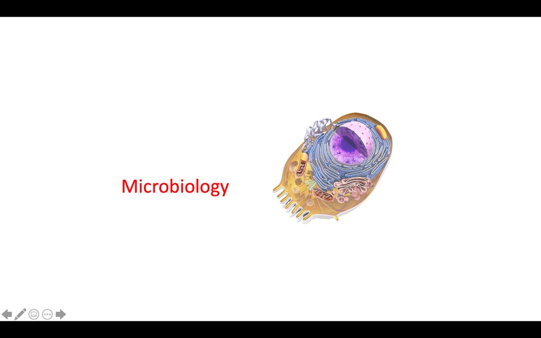 Microbiology Study Guides - Etsy