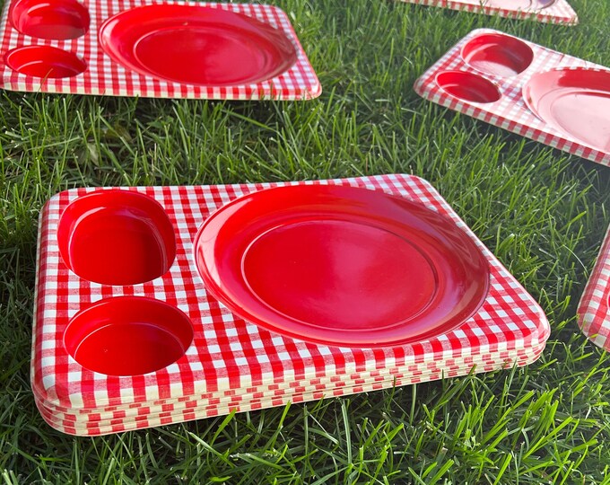 Vintage Picnic Trays - Midcentury Plastic Food Tray Vintage Plastic ...