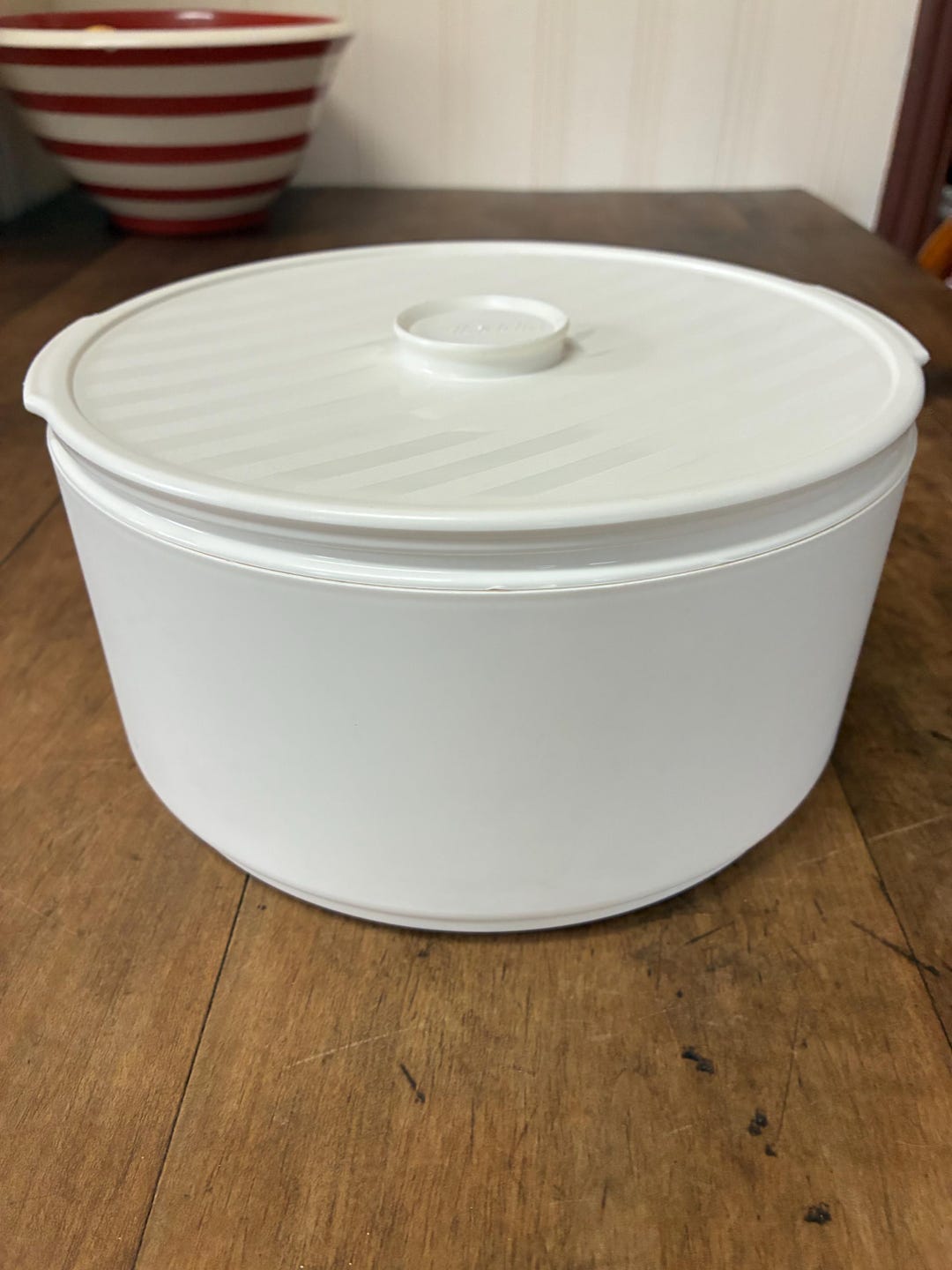 Aladdin Tempreserve Container- 1980s Aladdin 2.11 Qt. Freezer Microwave ...