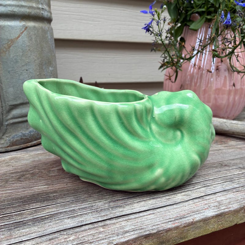 Green Shell Vases - Etsy