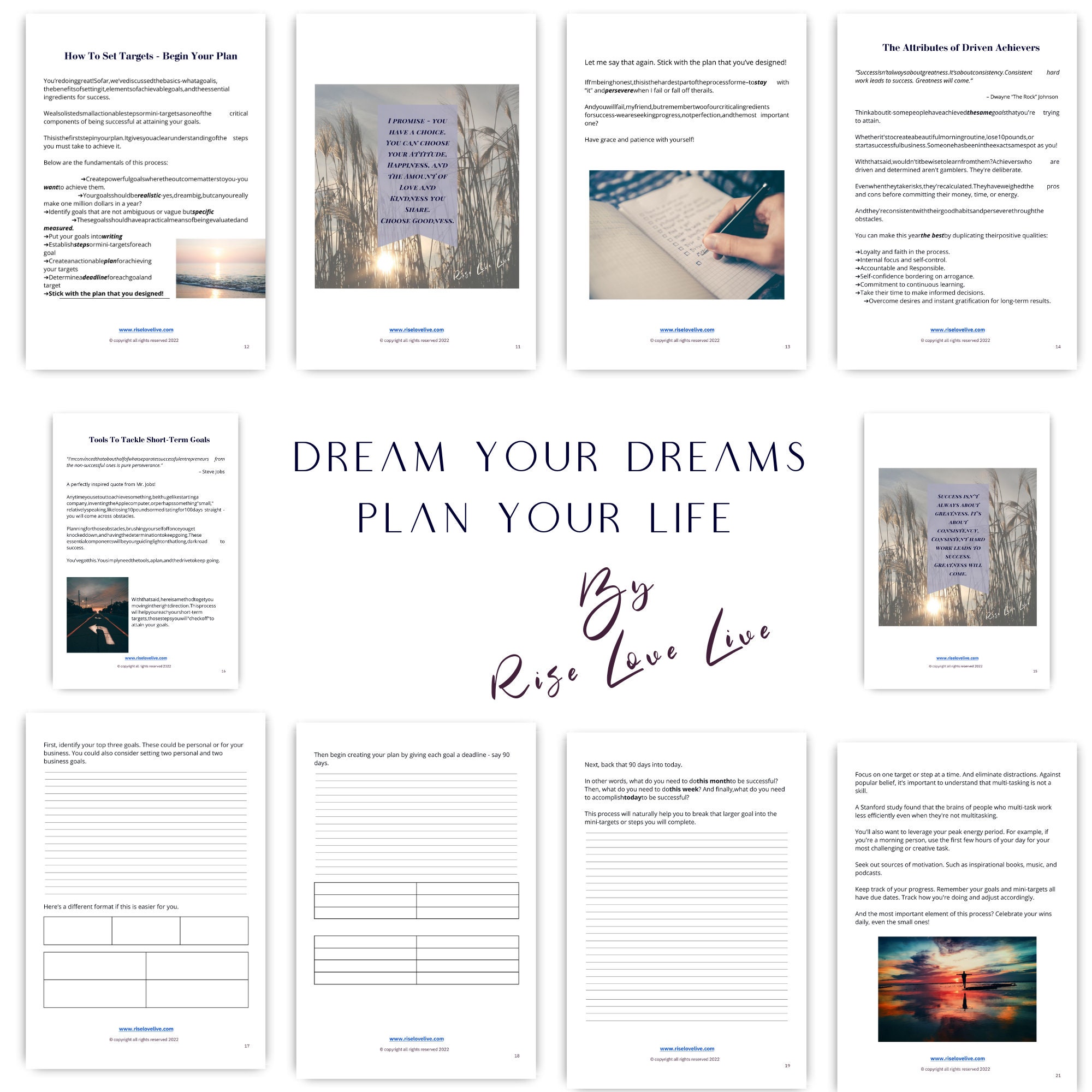 Easy to Follow Goal Setting Process Dream Your Dreams Plan Your Life ...