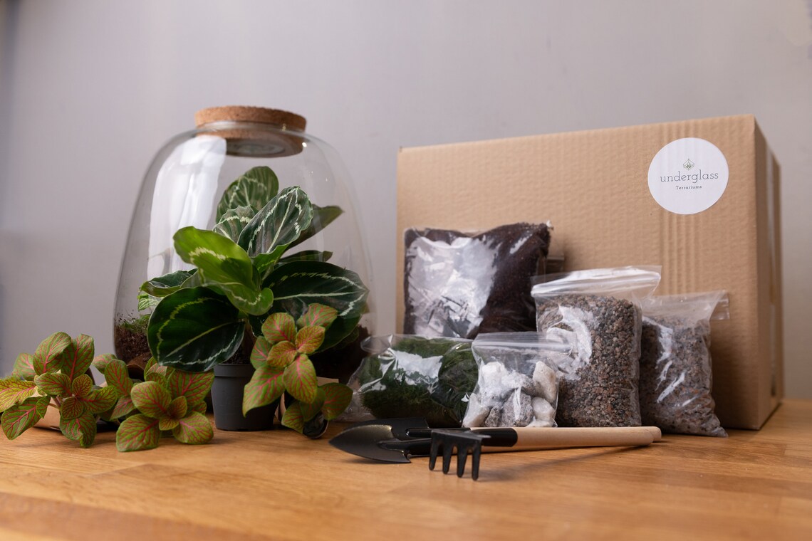 Large LED Terrarium Kit With Plants - Etsy UK