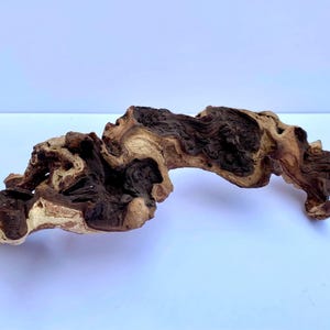 Natural Mopani Wood | Bogwood | Driftwood | Terrarium Decoration ...